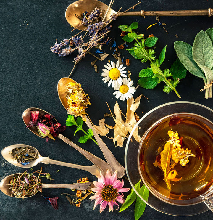 Premium coffee & organic tea for true connoisseurs – Maxim Coffee Shop